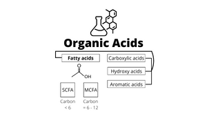 Organic Acids in Animal Nutrition
