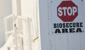 A Producer's Guide to Creating a Poultry Farm Biosecurity Checklist
